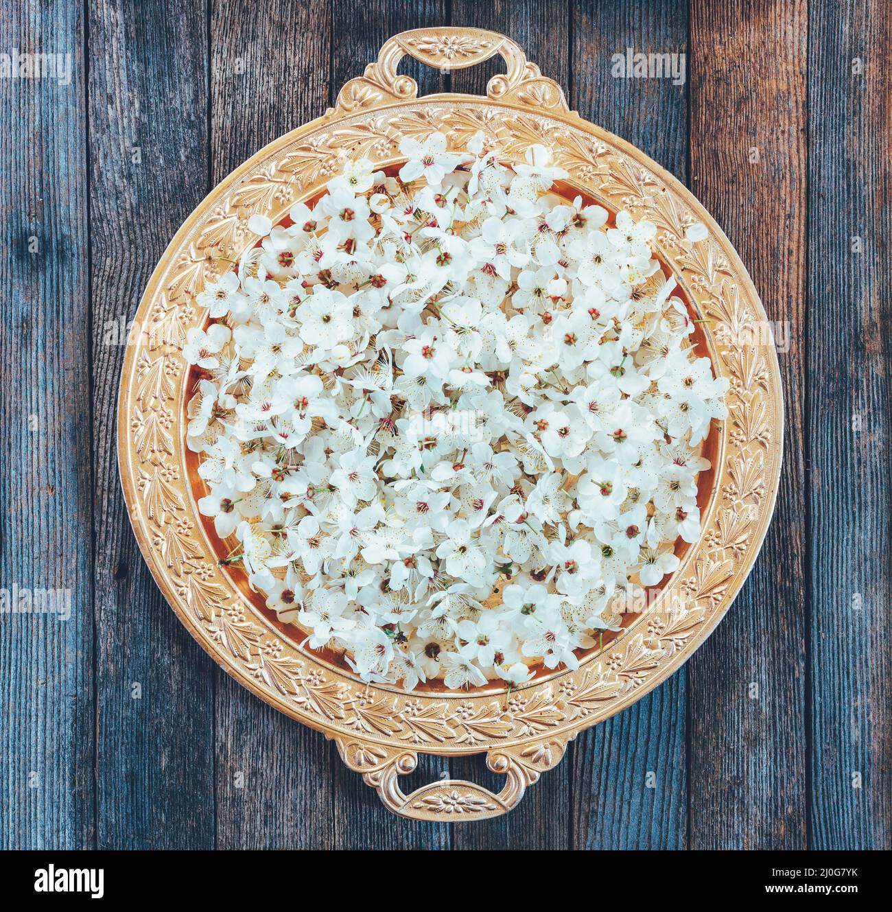 Spring abstraction. flowers of a fruit tree in a gold plate, top view ...