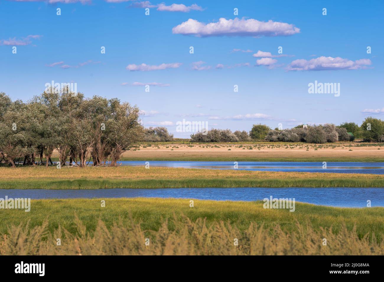 The landscape of the floodplain of the river with blue water, coastal ...
