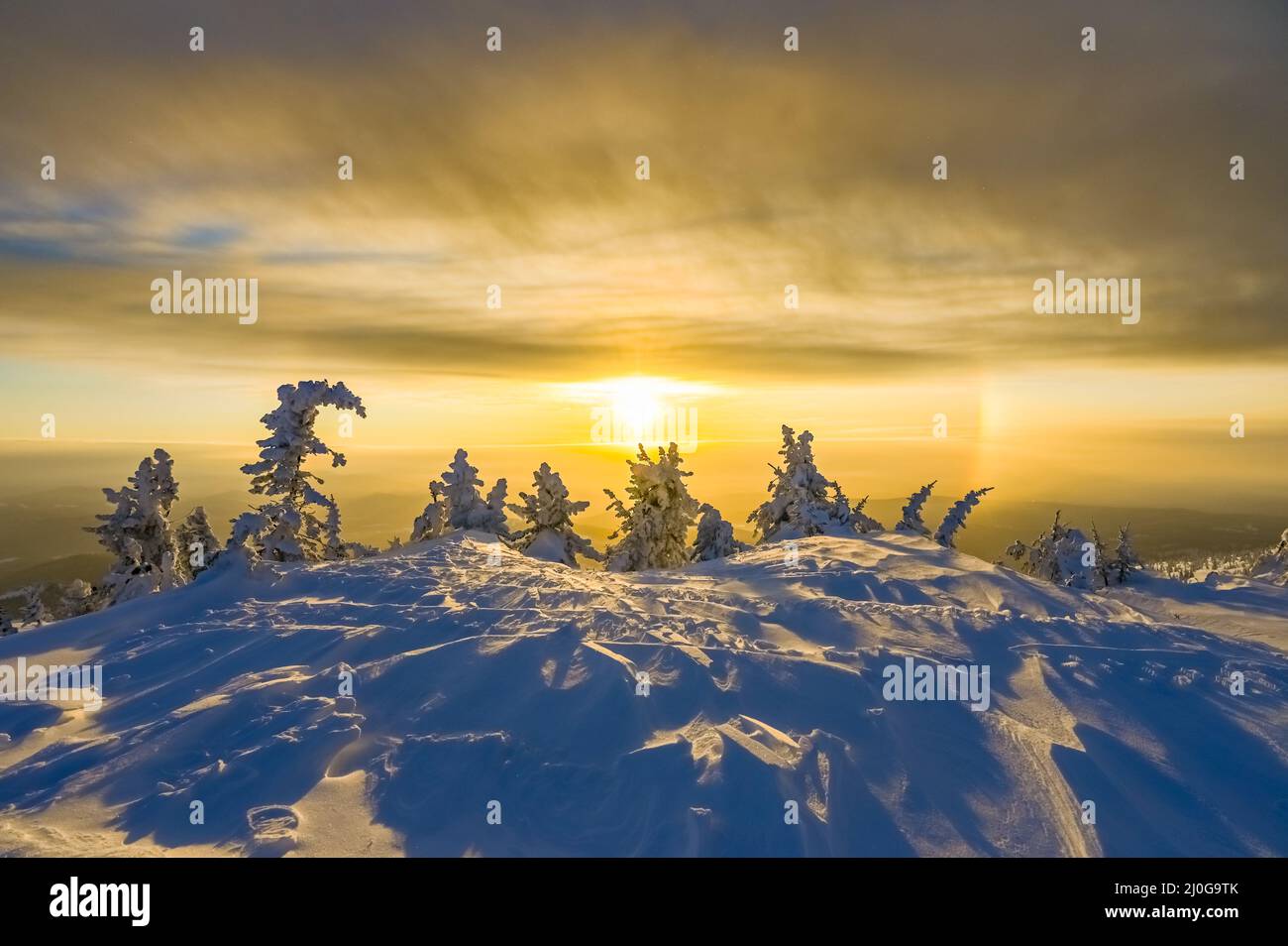 Blue tree snow scene hi-res stock photography and images - Alamy