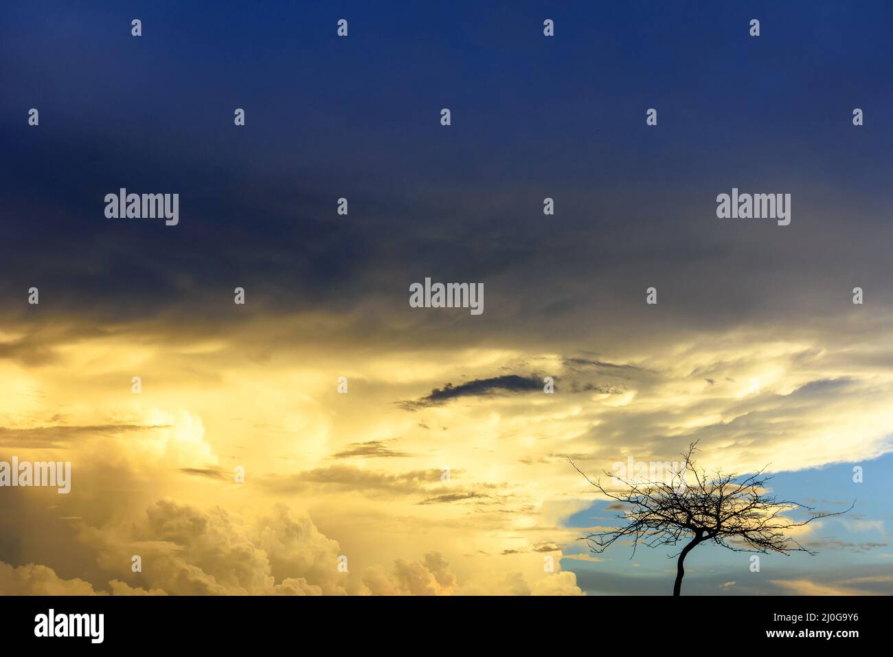 Big rain hi-res stock photography and images - Alamy