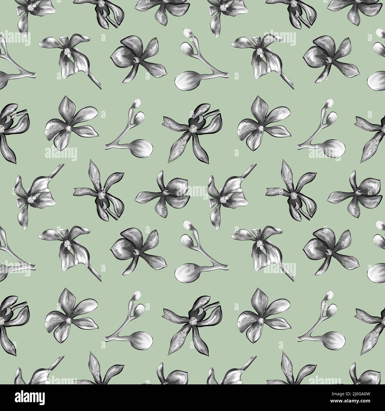 Orchid seamless pattern. orchids botanical pattern Stock Photo - Alamy