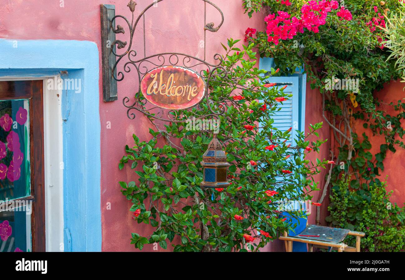 Traditional white house courtyard with garden and blooming colorful ...