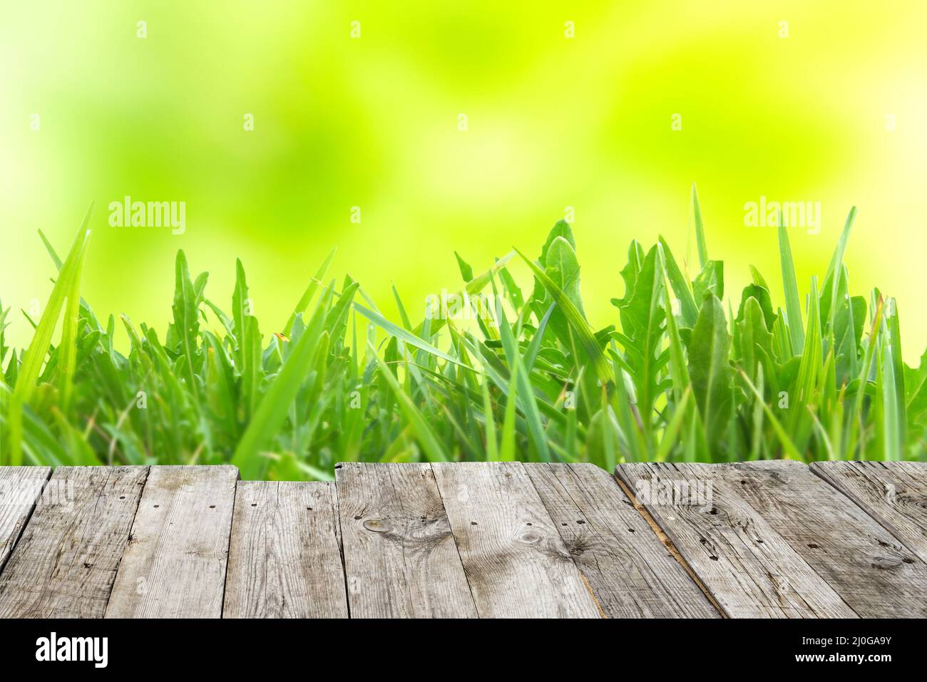 Wooden board template nature hi-res stock photography and images - Alamy