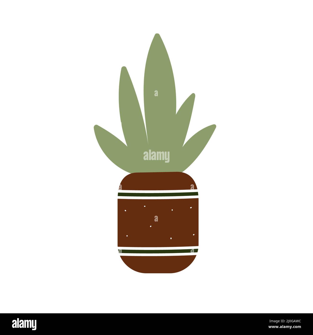 Succulents in pot indoor Cut Out Stock Images & Pictures - Alamy