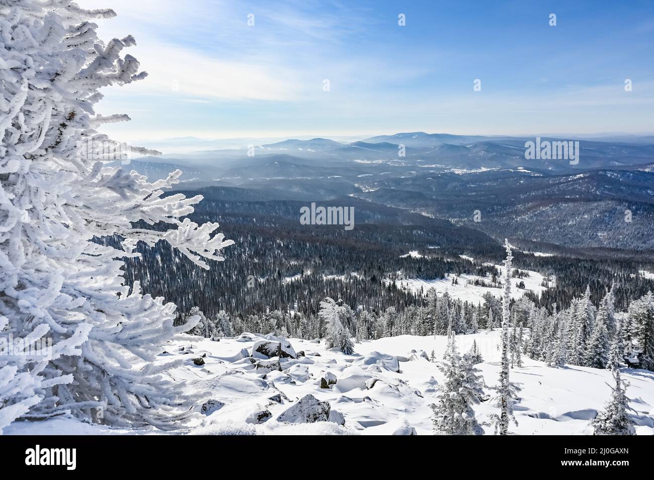 Winter valley view pine hi-res stock photography and images - Alamy