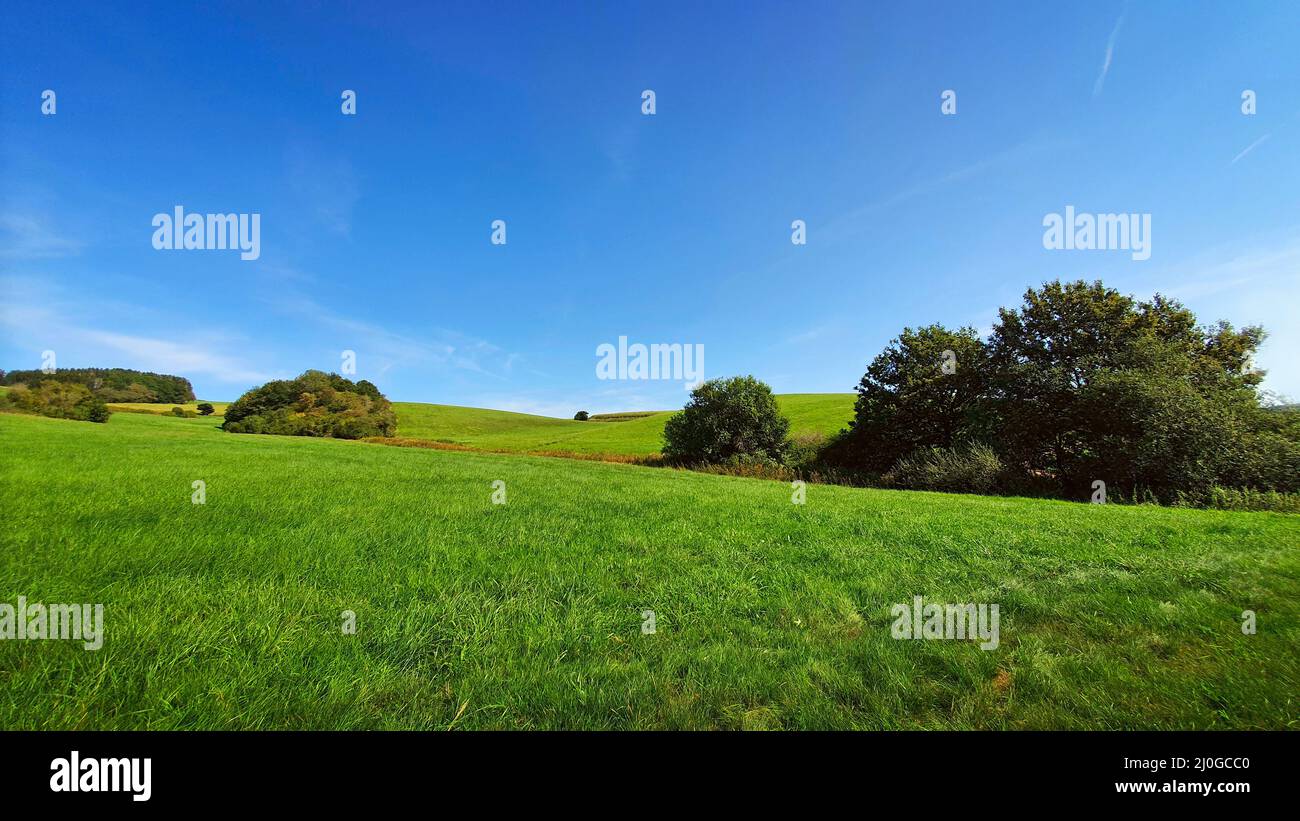 Blue sky green grass trees hi-res stock photography and images - Alamy