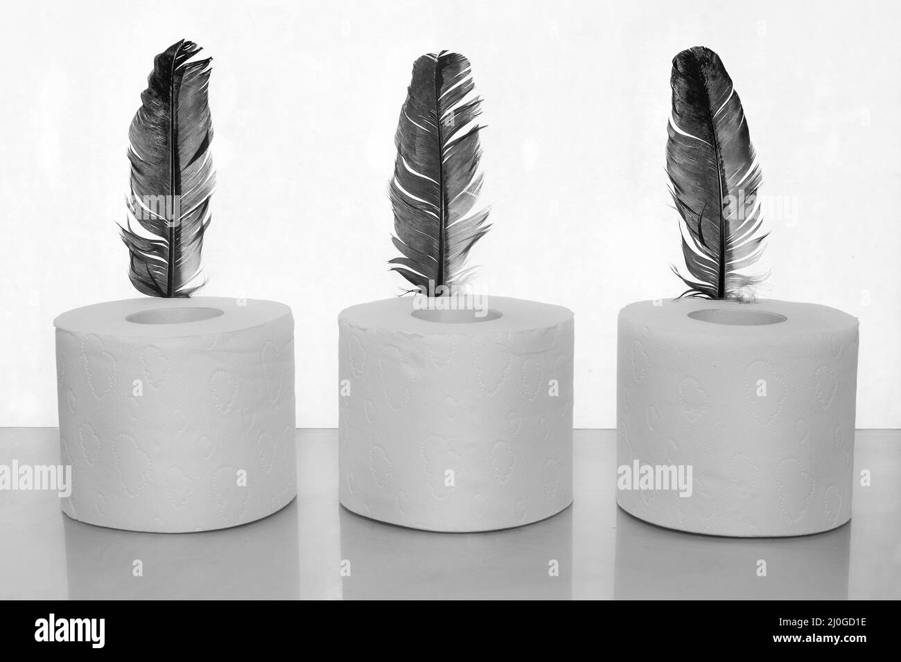 Feather touch Black and White Stock Photos & Images - Alamy