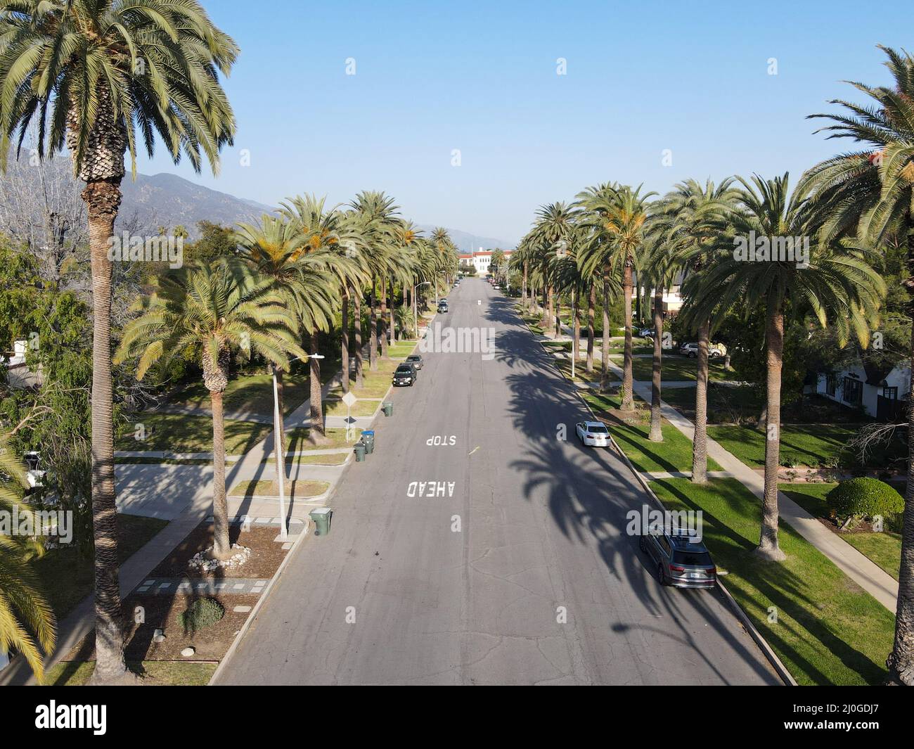 Aerial view of palm tree lined Street in Pasadena neighborhood in ...