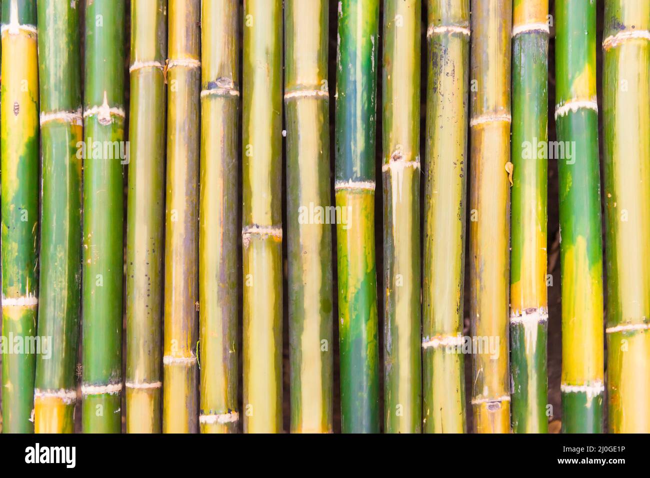 Bamboo texture hi-res stock photography and images - Alamy