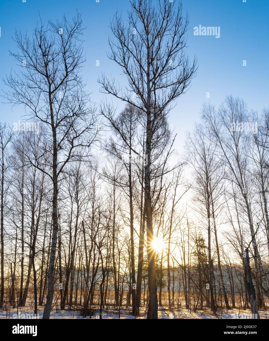 Authentic dawn hi-res stock photography and images - Alamy