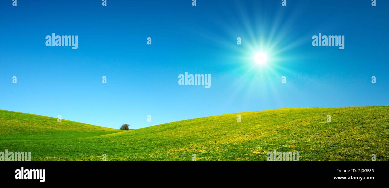 Spring landscape background with bright sun and green grass field Stock ...