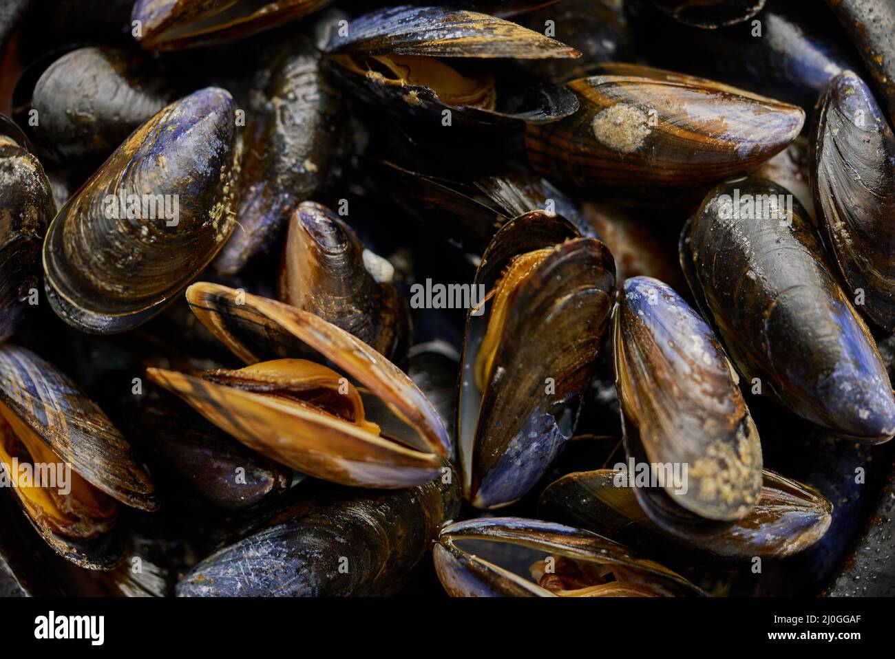 Clam shot hi-res stock photography and images - Alamy