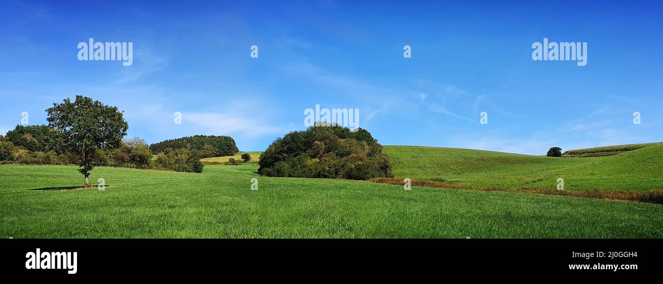 Blue sky green grass trees hi-res stock photography and images - Alamy