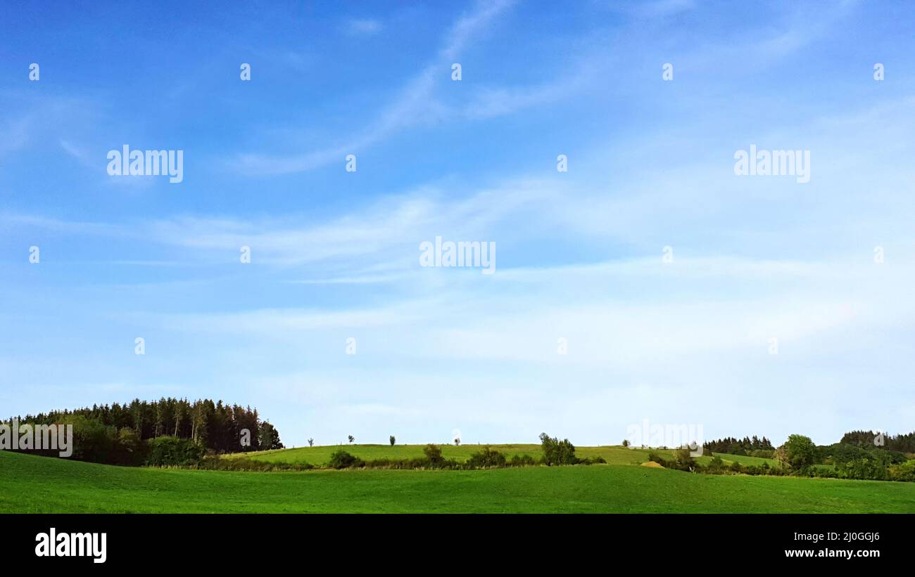 Blue sky green grass trees hi-res stock photography and images - Alamy