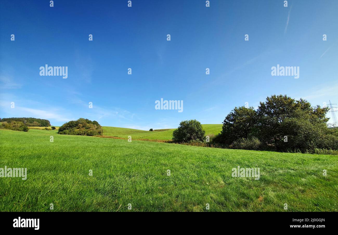Beautiful field trees sunset spring hi-res stock photography and images ...