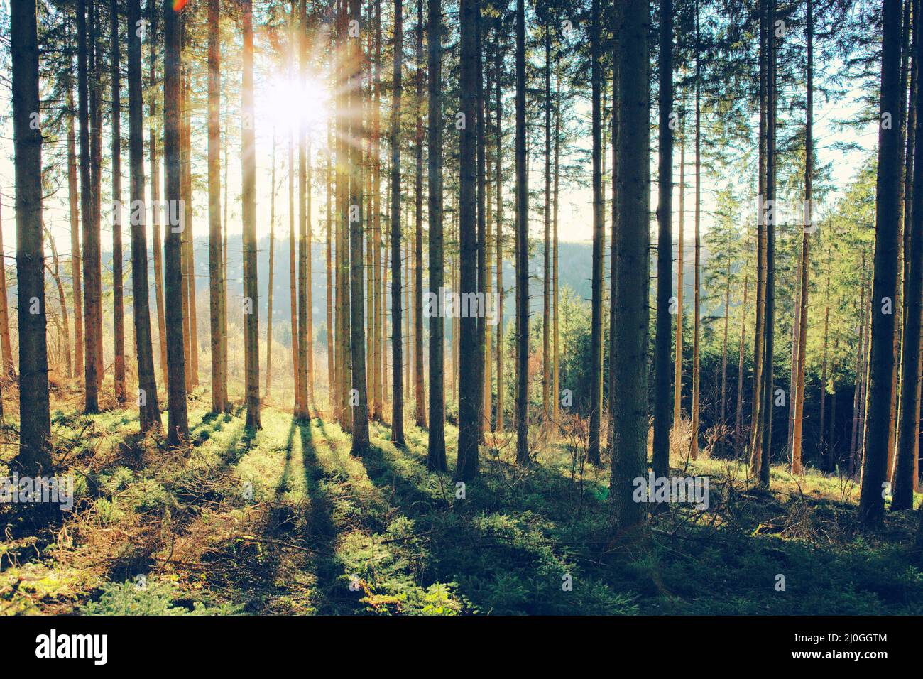 Beautiful and bright scenery hi-res stock photography and images - Alamy
