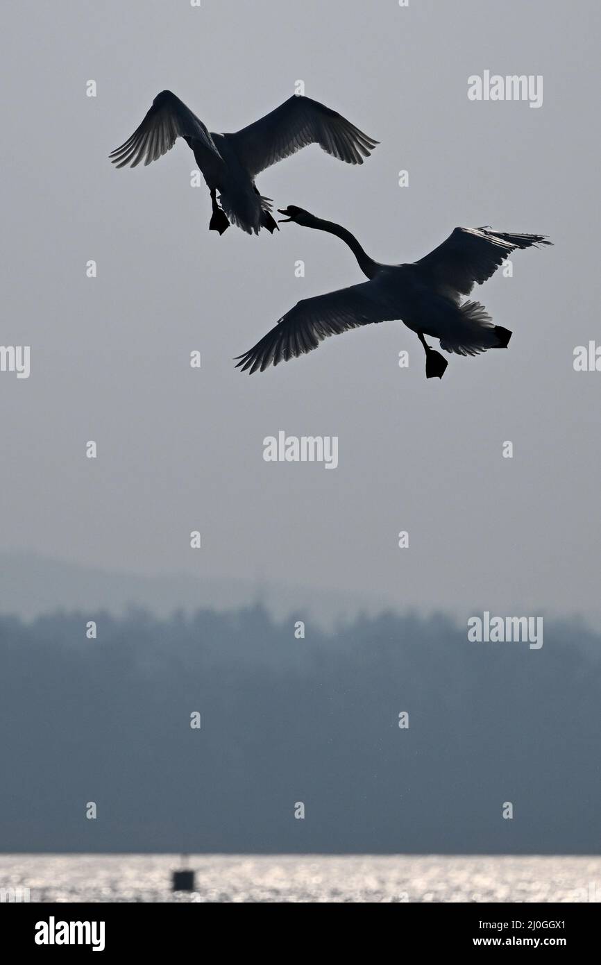 Constance away hi-res stock photography and images - Alamy