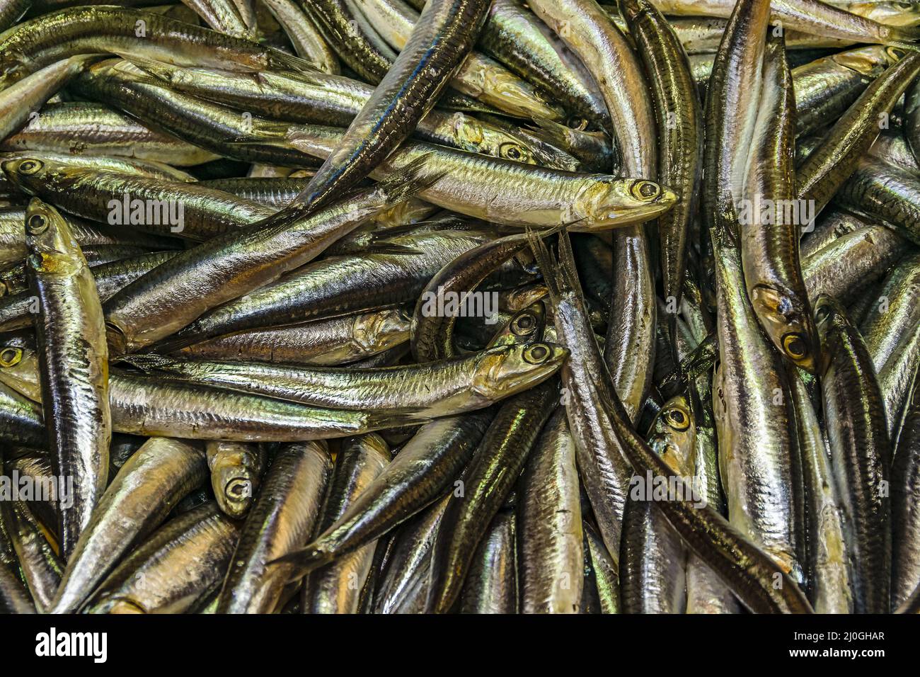 Greece central market fresh fish hi-res stock photography and images ...
