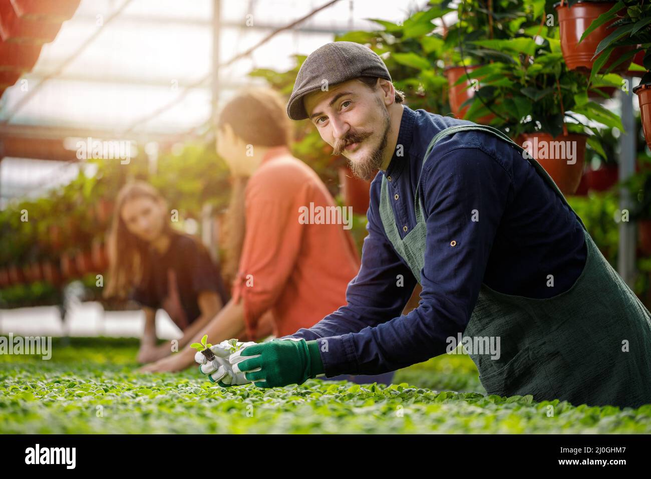 Sunny horticulture hi-res stock photography and images - Alamy