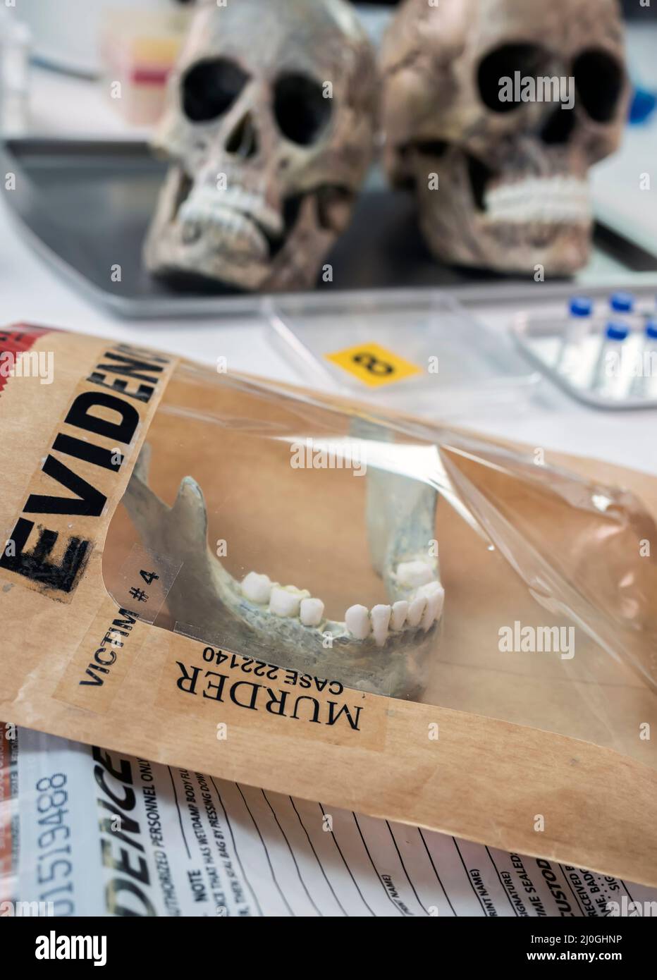 Evidence bag with human lower jaw in forensic lab murder investigation ...