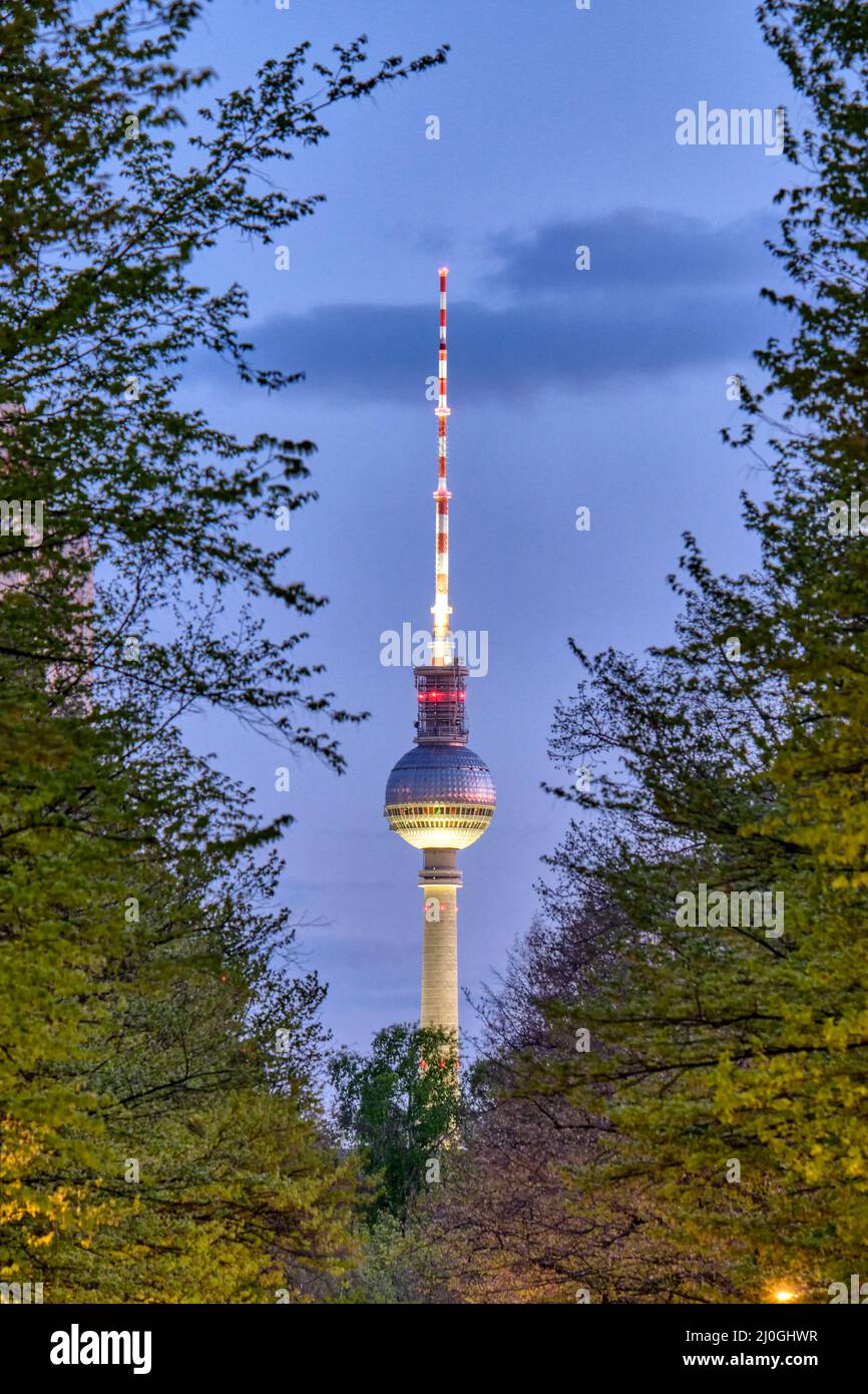 The famous TV Tower in Berlin at night seen through some trees Stock ...