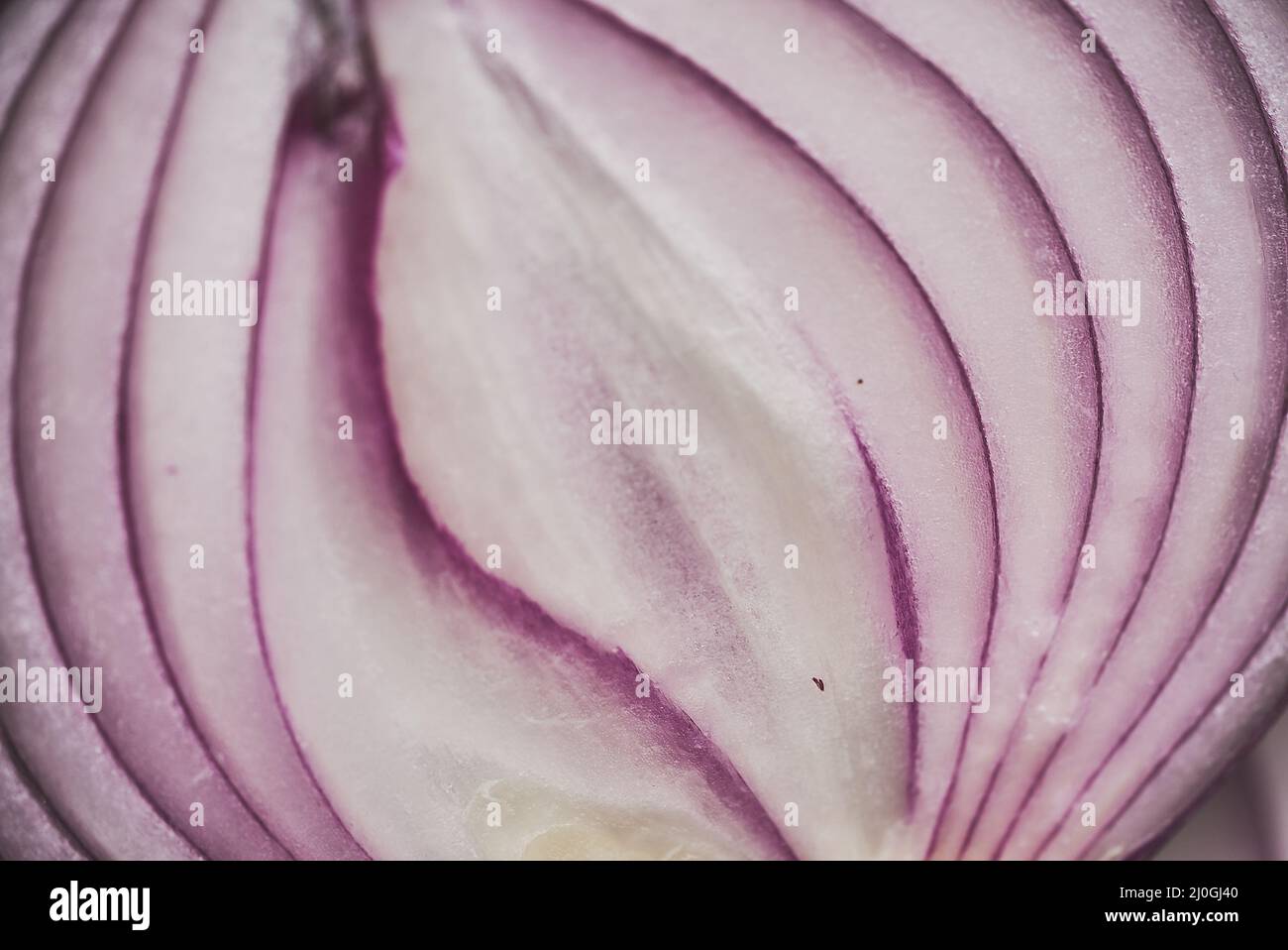 Onion texture hi-res stock photography and images - Alamy