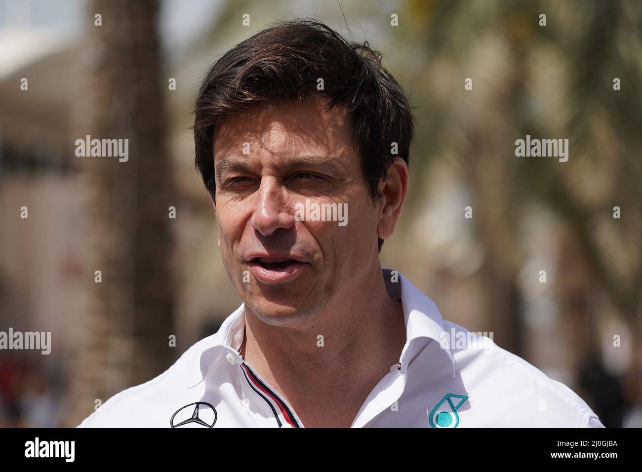Toto wolff paddock hi-res stock photography and images - Alamy