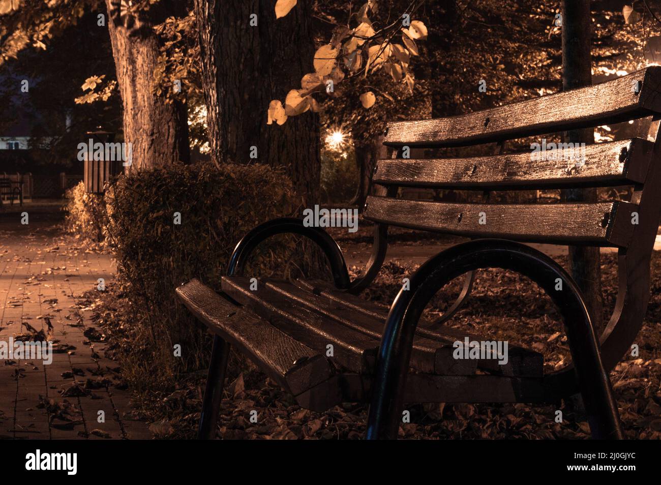 Beautiful shot of a bench in a park at night Stock Photo - Alamy