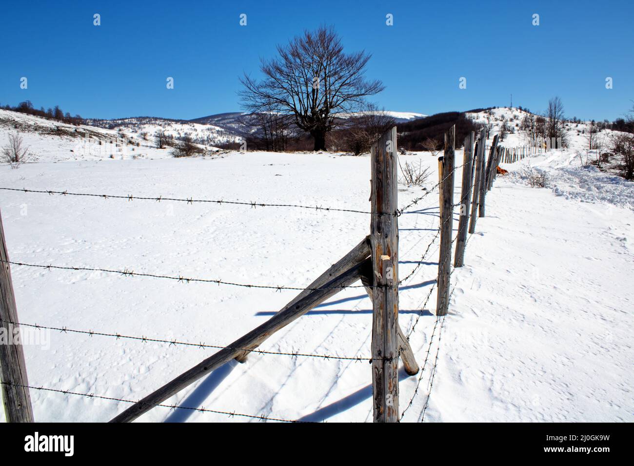 Photo of wooden and metal fence in winter field Stock Photo - Alamy