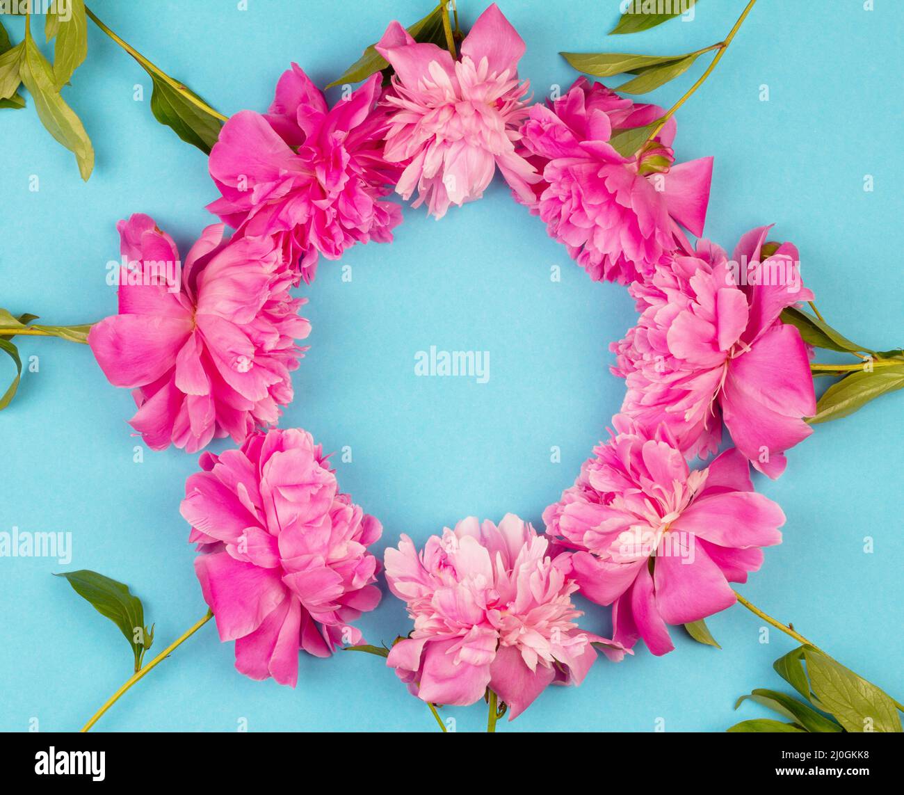 Peony frame hi-res stock photography and images - Alamy