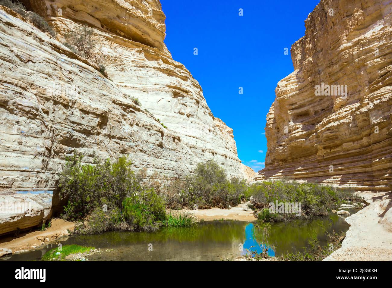 Puddle exploration hi-res stock photography and images - Alamy