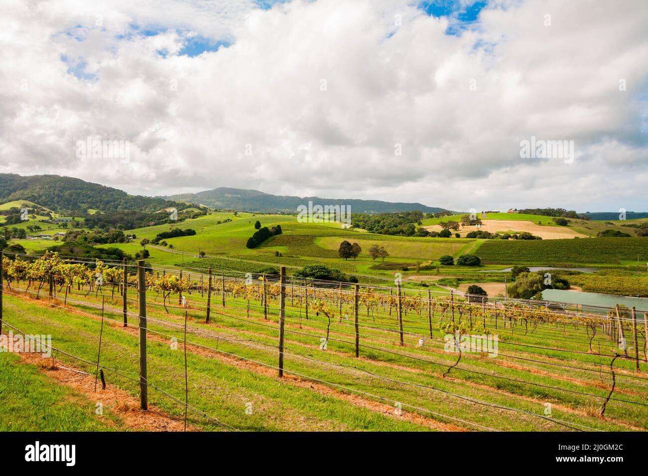 Crooked river wines hi-res stock photography and images - Alamy