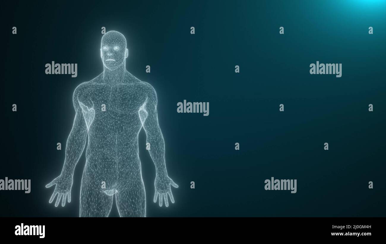 The Human Body Is Modeled of lines Stock Photo - Alamy