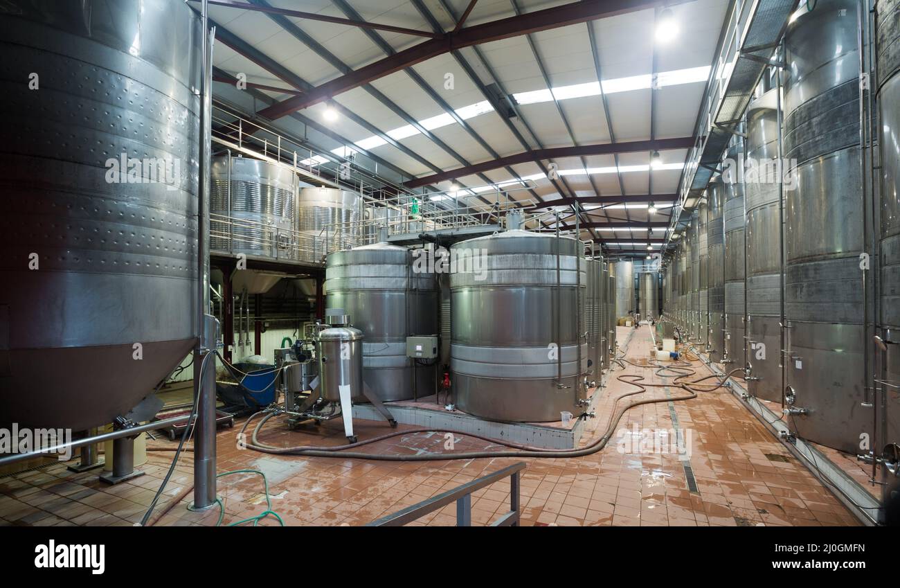 winery factory with stell barrels Stock Photo - Alamy