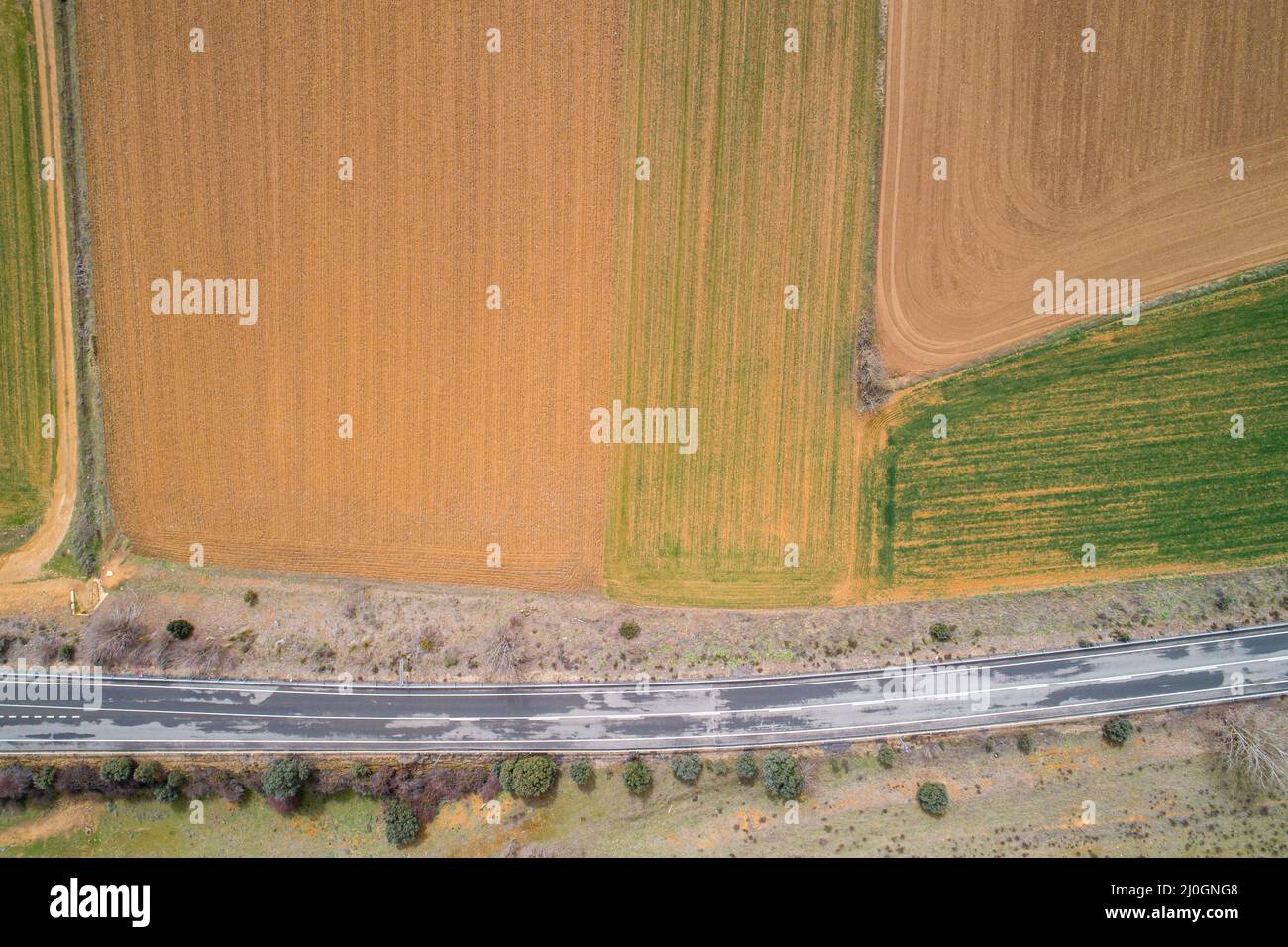 Countryside Road Between Farmland Fields. Aerial Drone Top Down View ...