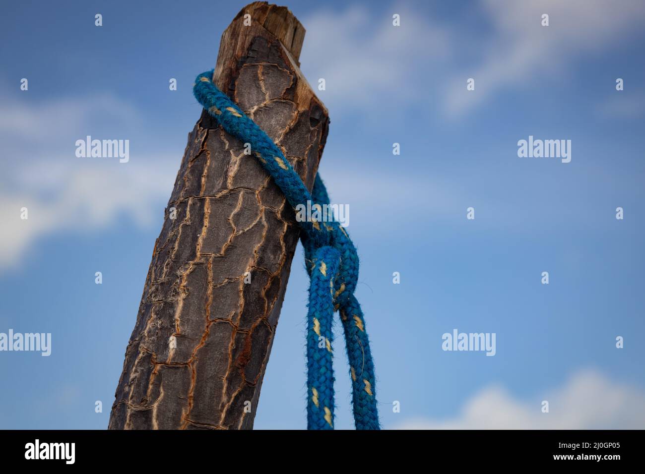 Blue rope tied to a stick with a knot. Tether concept Stock Photo - Alamy