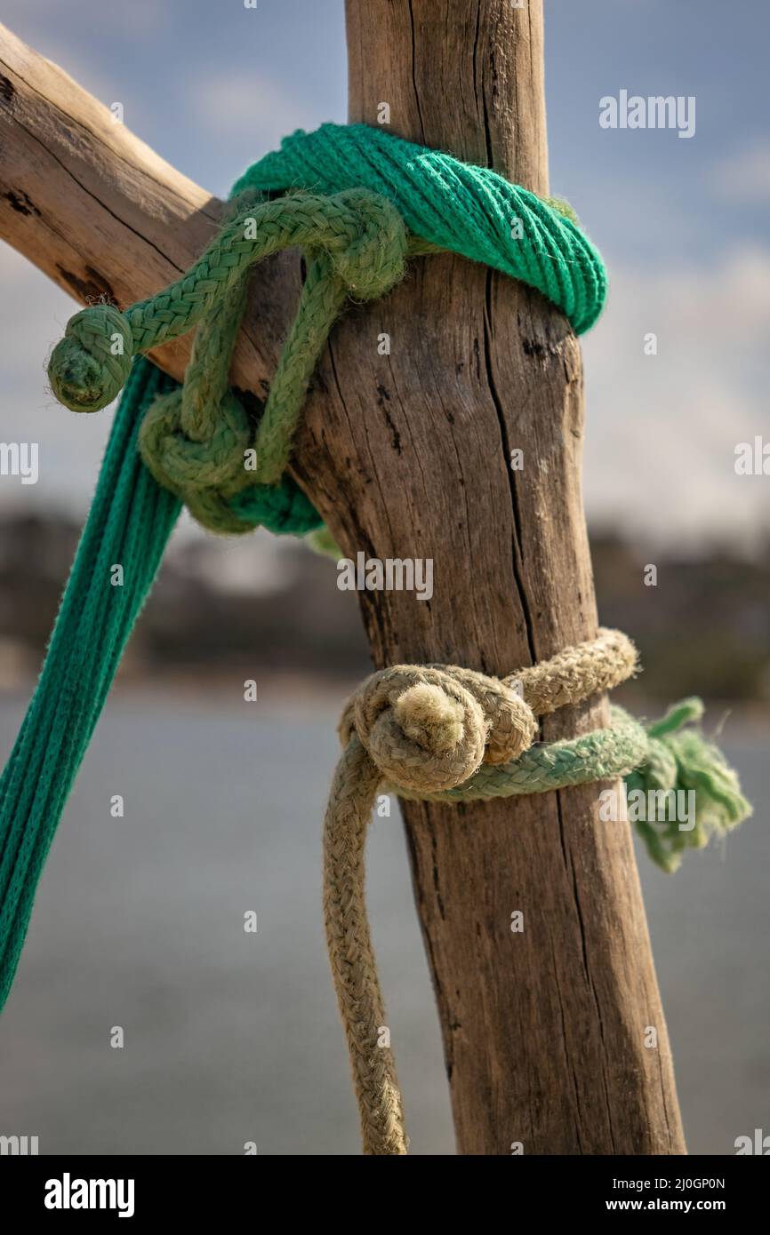 Green rope and another beige rope tied with several knots to a wooden ...