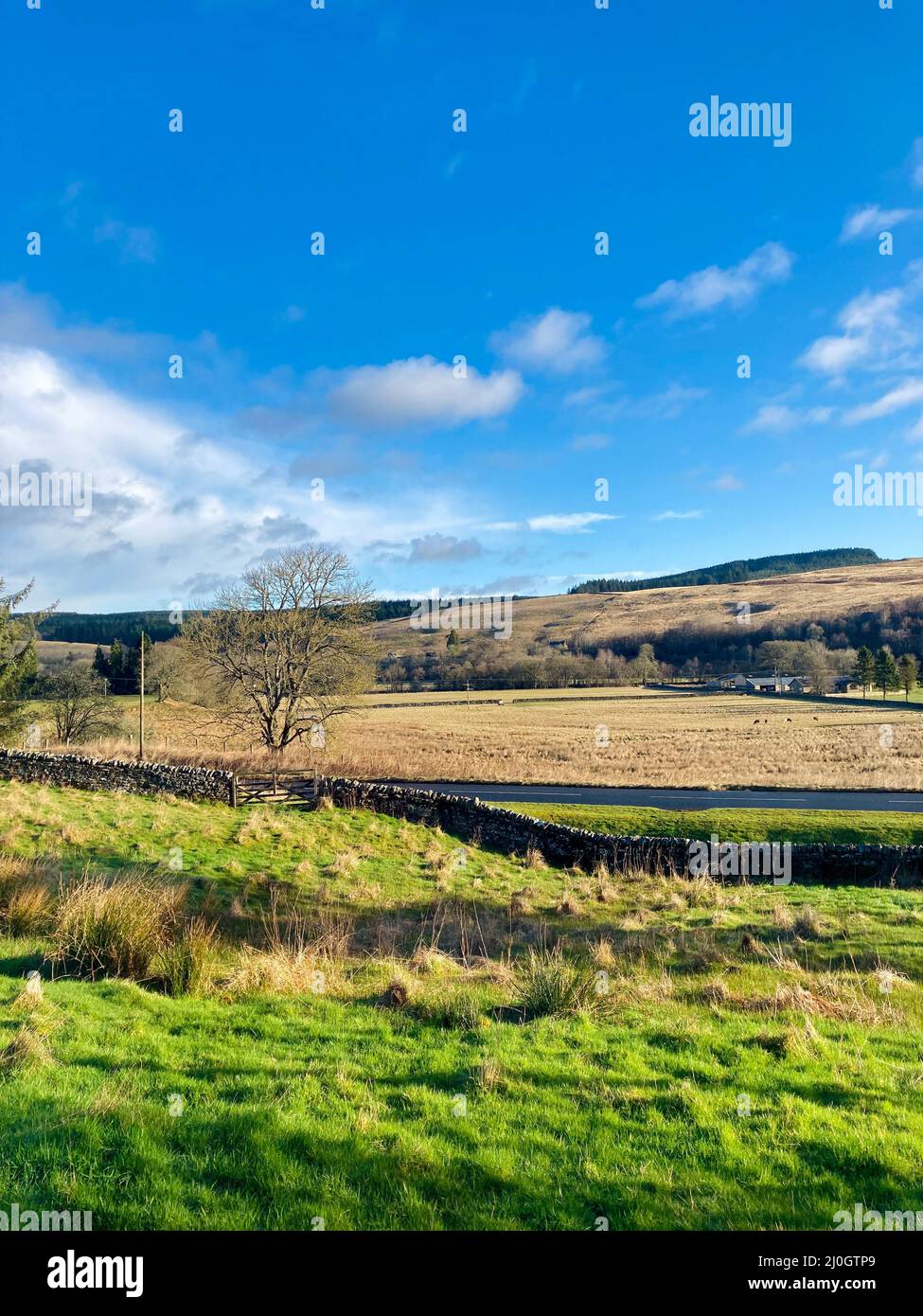 Traditional dry stone walls marking the perimeter of fields in the ...