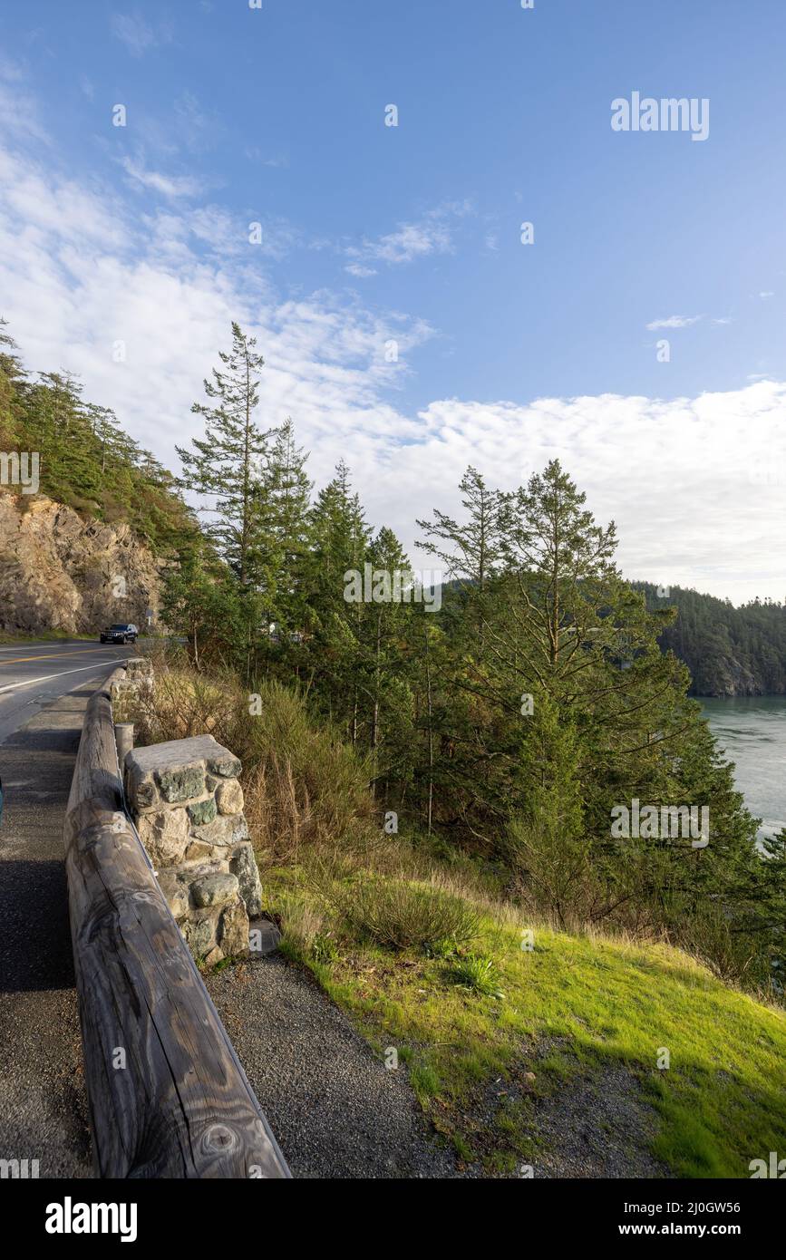 blue ocean and cloudy sky from forested cliffside road overlook Stock ...