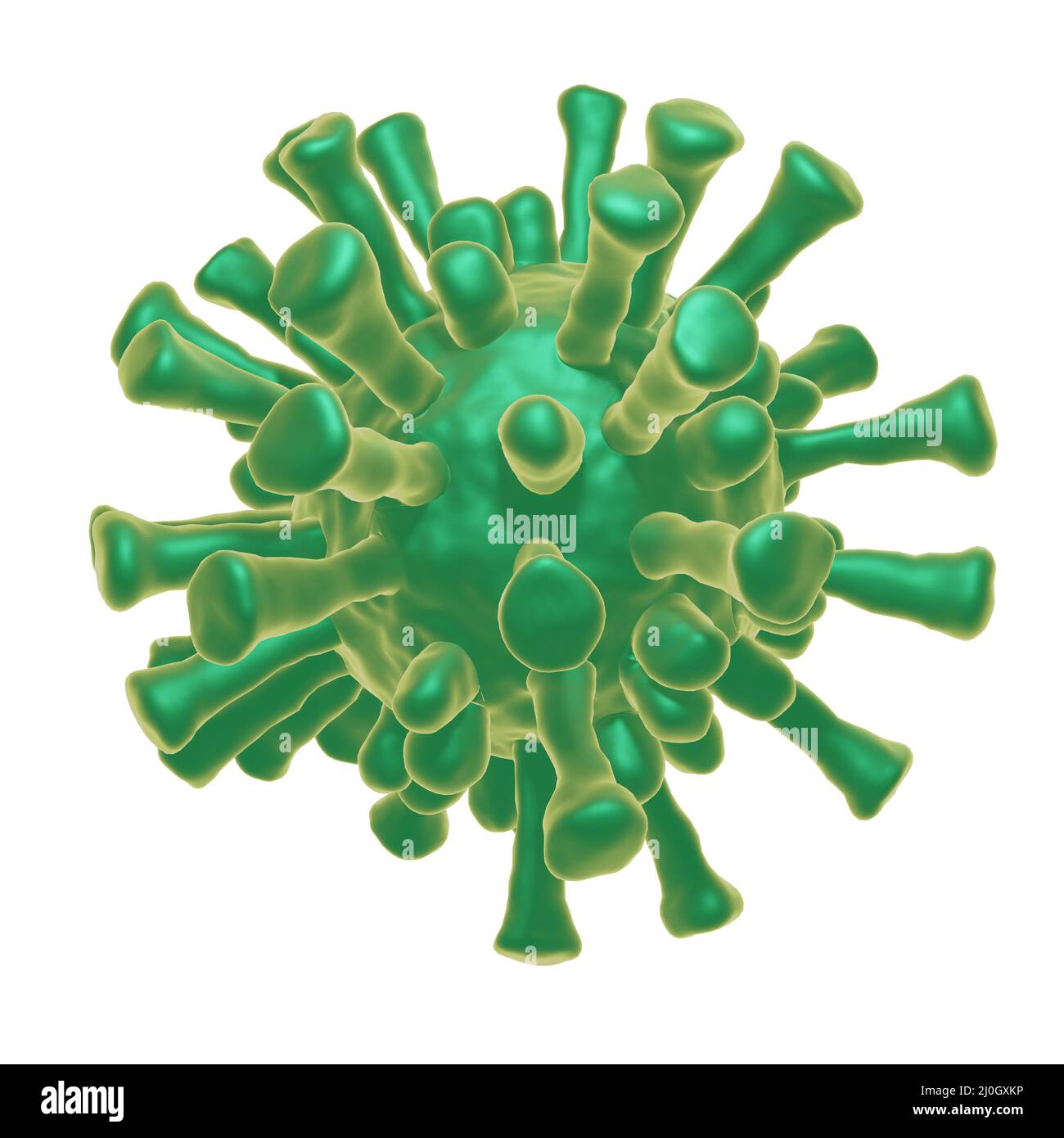 Biology render hi-res stock photography and images - Alamy