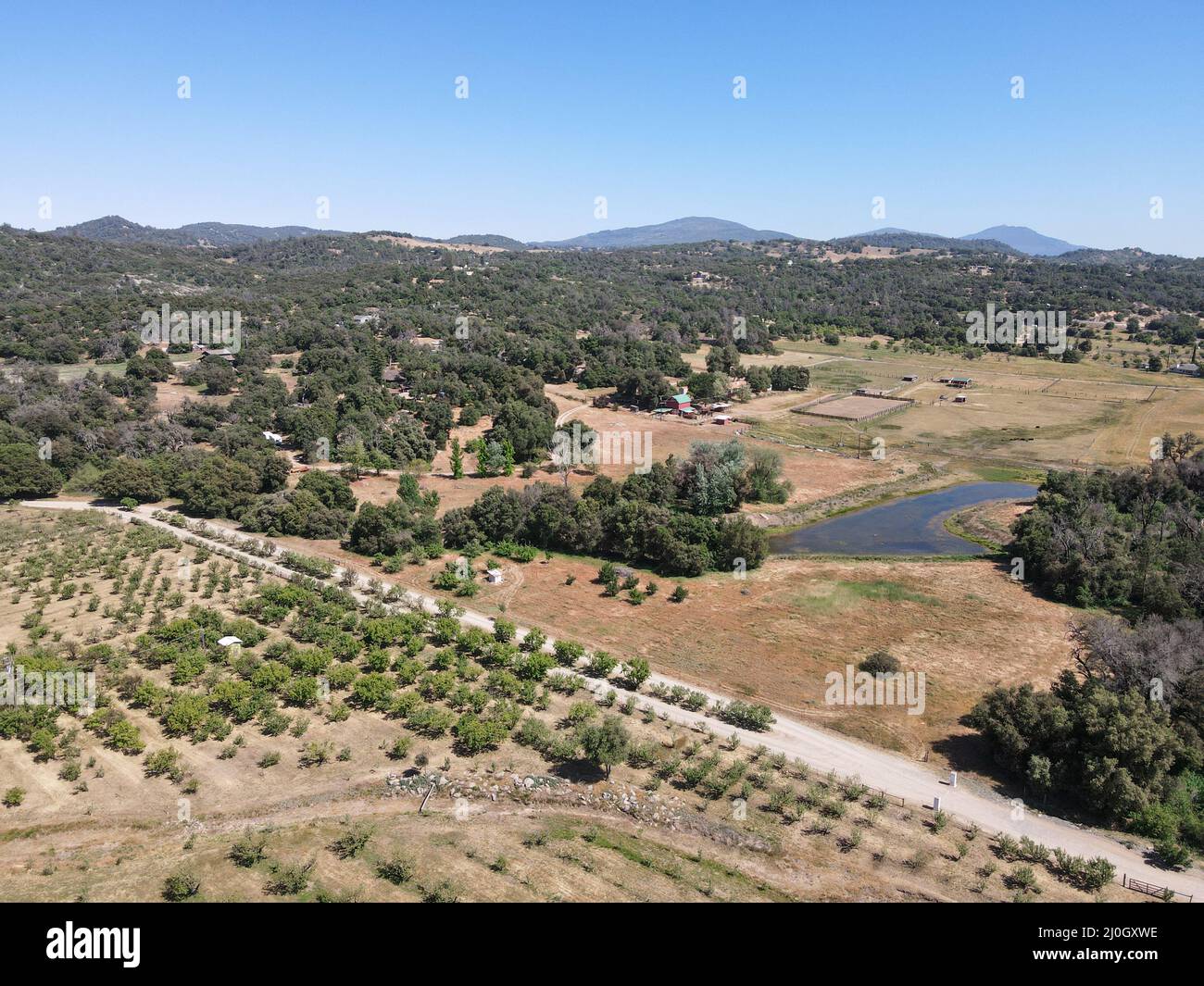 Aerial View Oak Tree High Resolution Stock Photography and Images - Alamy