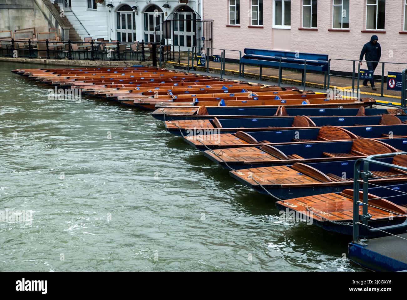 Punt flat bottom river wooden boats on river Cam waters in Cambridge ...