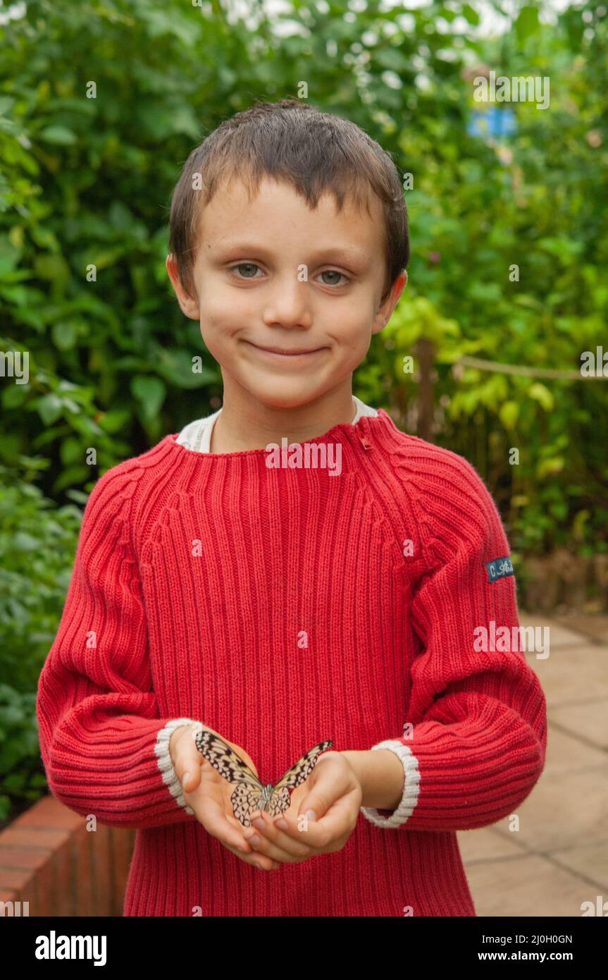 Boy holding butterfly, Wye Valley Butterfly Zoo, Symonds Yat, England ...