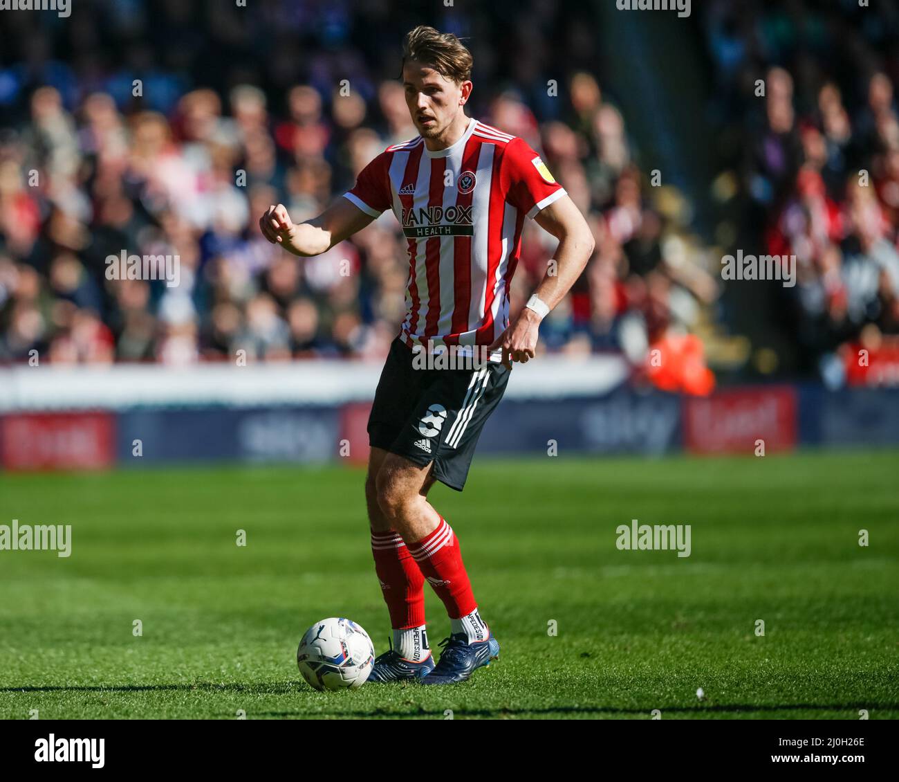 Sander Berge #8 of Sheffield United in action during the game Stock ...