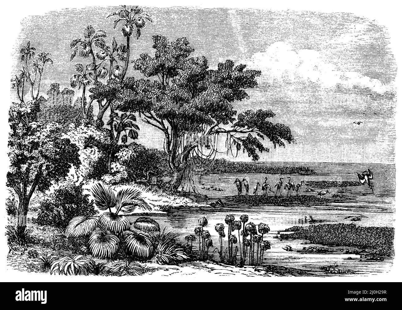 Tchad hi-res stock photography and images - Alamy