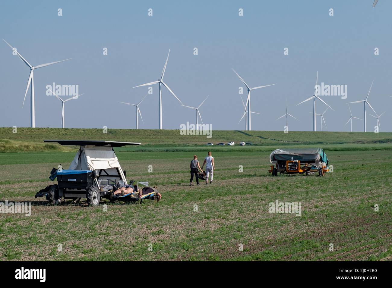 Eastern European Seasonal Workers at the farm land tulip fields,migrant ...