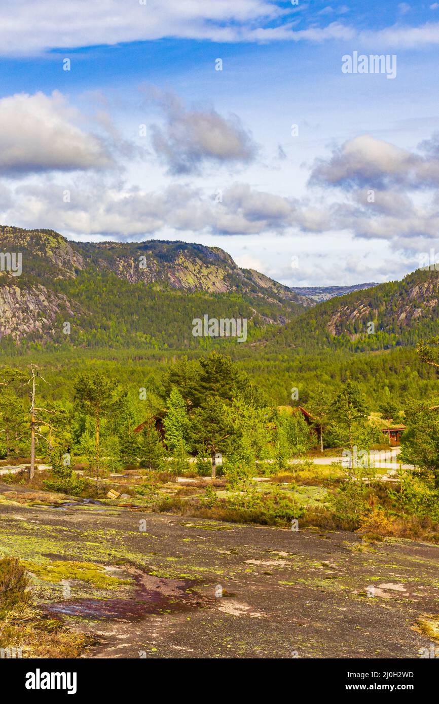 Panorama with fir trees and mountains nature landscape Nissedal Norway ...