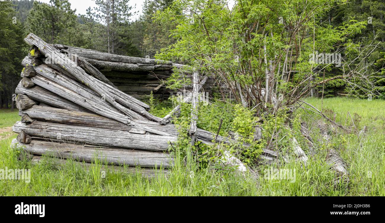 Log view hi-res stock photography and images - Alamy