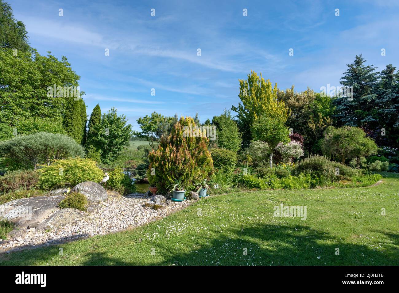 Conifer trees garden hi-res stock photography and images - Alamy