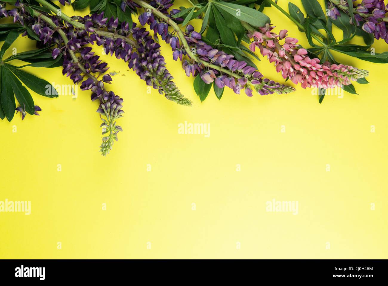 Yellow paper mockup for text Stock Photo - Alamy